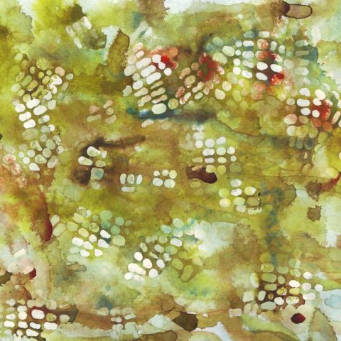 Imaginary Maps – Page 2 – Emily Garfield Art