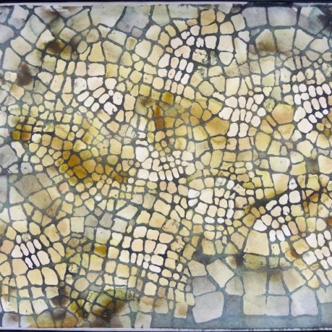 Imaginary Maps – Page 2 – Emily Garfield Art