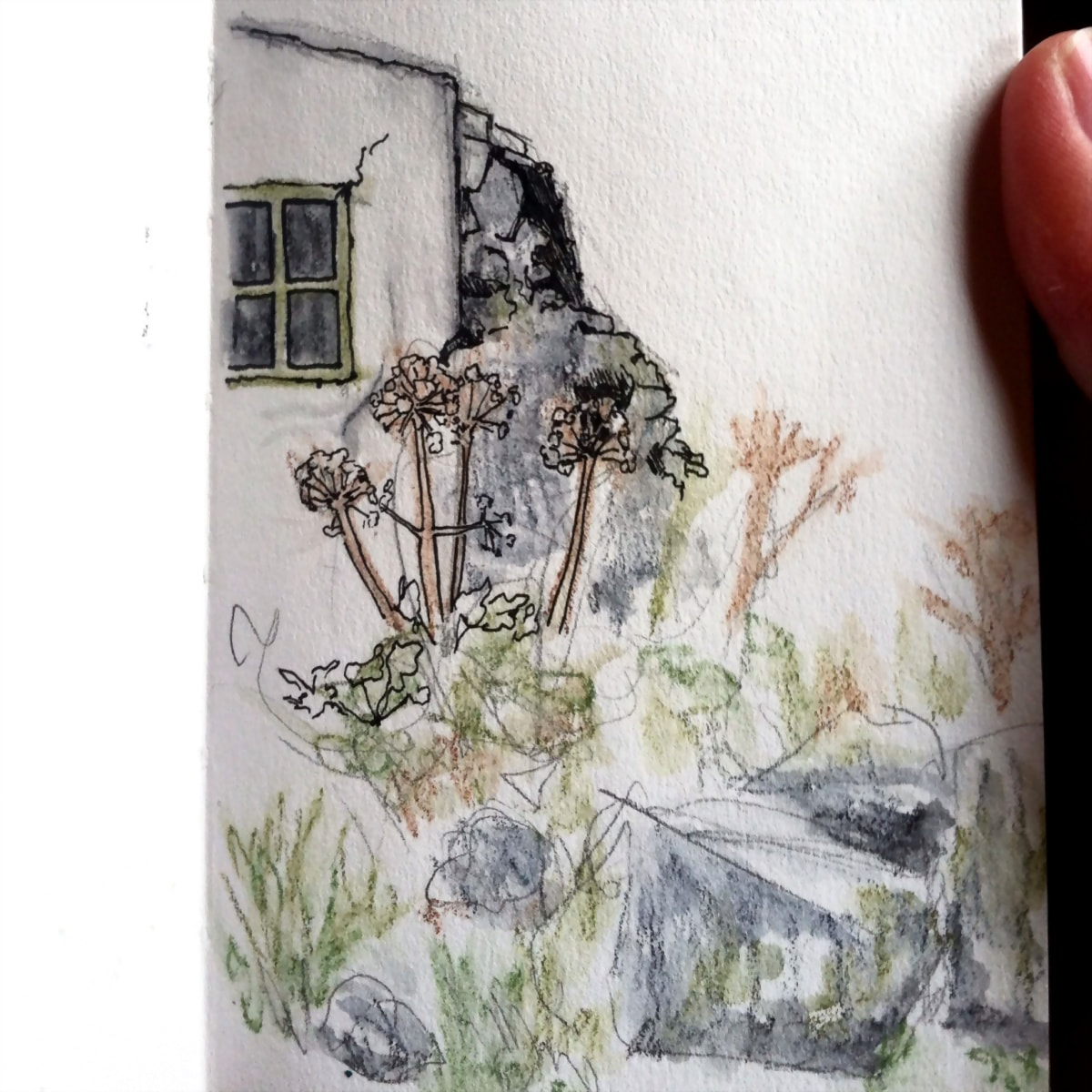 August Travel: ICELAND – Emily Garfield Art