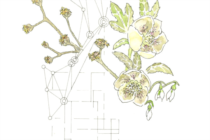 Blog – Page 2 – Emily Garfield Art