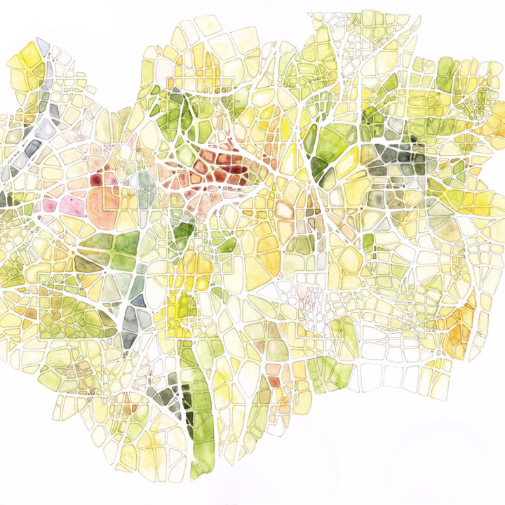 Imaginary Maps – Emily Garfield Art